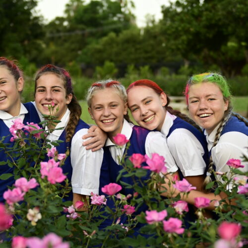 Affie-hartklop – AHMP